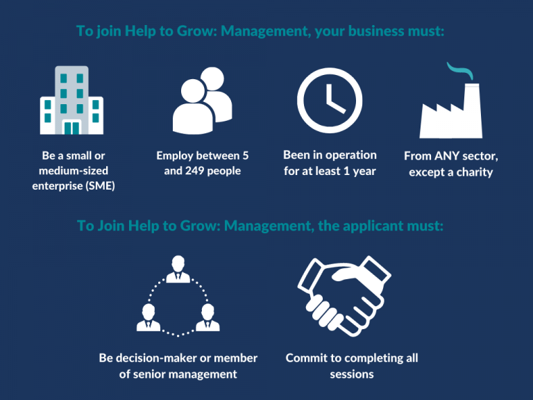 Help To Grow Hull